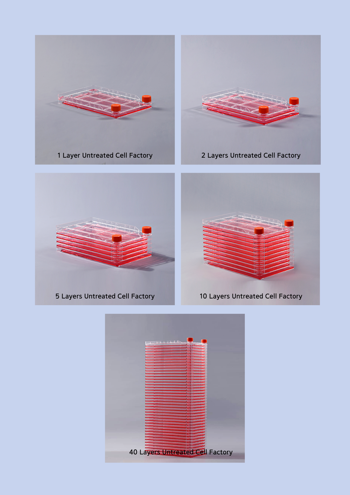Layer Untreated Cell Factory - SCINOMICS