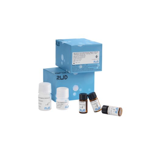Tissue Enzymatic Digestion Kit - SCINOMICS