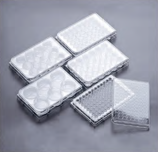 Cell Culture Plates - SCINOMICS