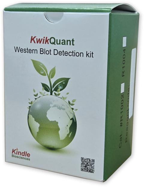 Femto Grade의 경제적인 Ultra Digital-ECL Substrate Solution - SCINOMICS